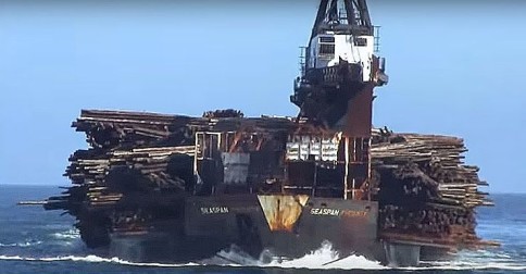 It Looks Like an Accident, But This is How Captains Unloads Timber ...