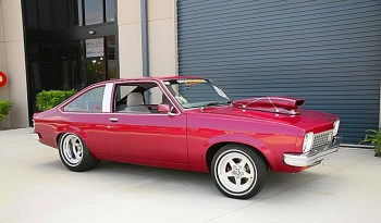 Ultimate 1977 LX Torana Hatchback is Really Fast Cause it is PINK ...