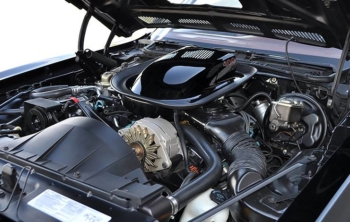 "Back in Black" 1976 Trans Am - ThrottleXtreme